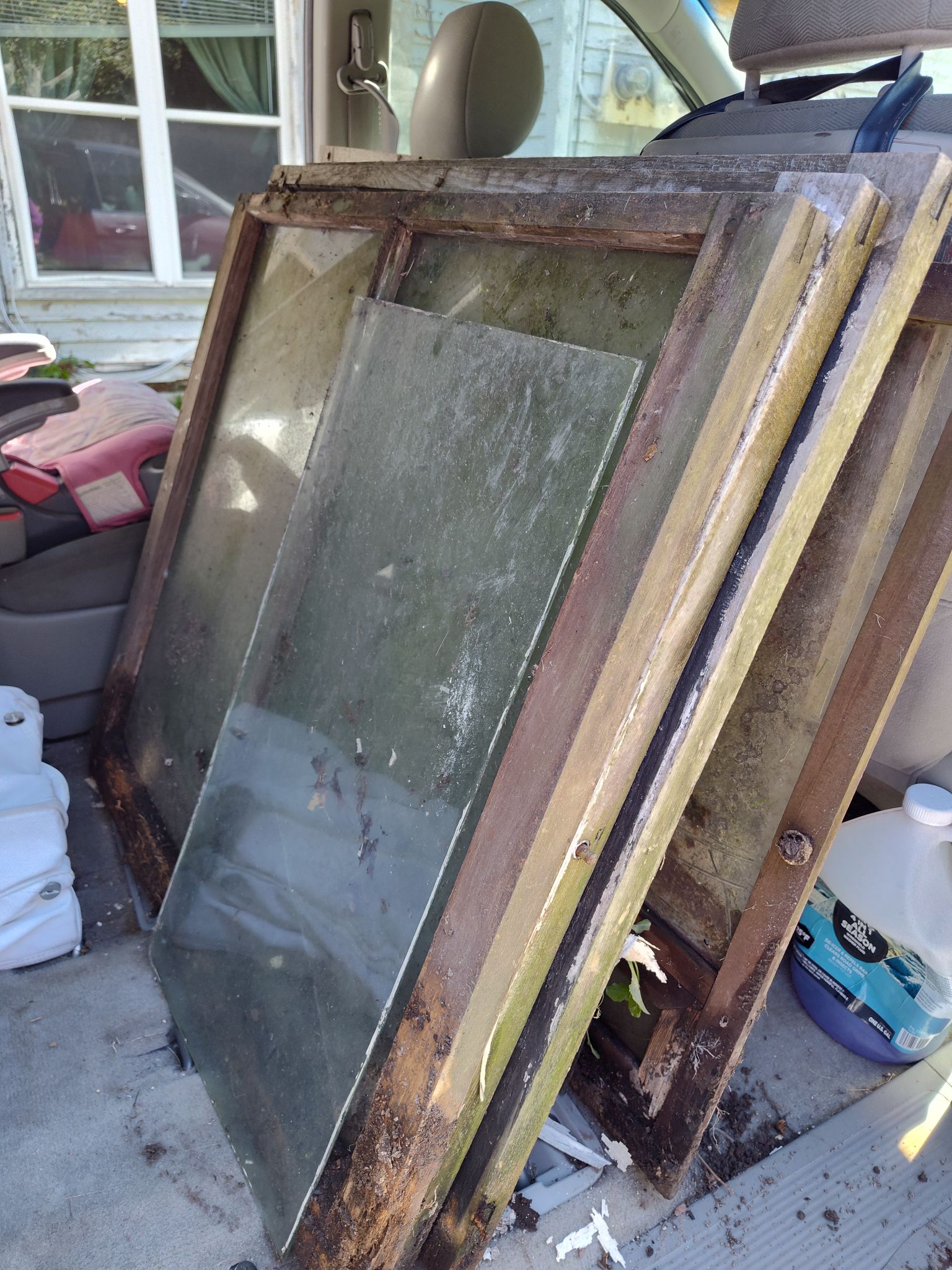 Fifteen Glass Windows – Sacred Lotus Glass